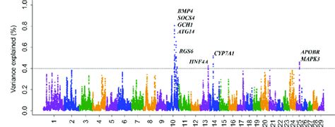 Manhattan Plot For The Proportion Of The Genetic Variance Explained By Download Scientific