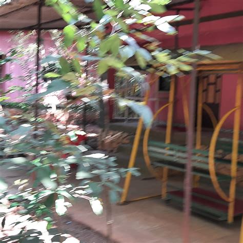 Natures Nest Resort Reviews And Photos