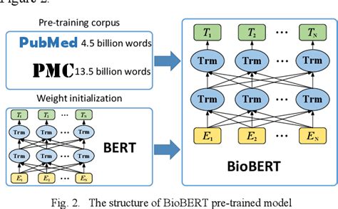 Figure 1 From Biomedical Entity Linking Based On Global And Local Feature Fusion Semantic Scholar