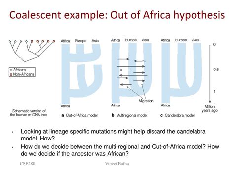 Ppt Coalescent Theory Powerpoint Presentation Free Download Id2435651