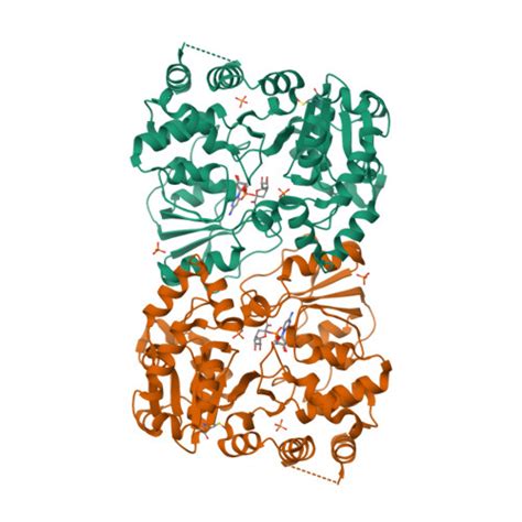 Rcsb Pdb 8csb Wbbb D232n In Complex With Cmp Beta Kdo