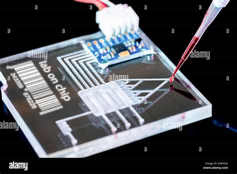 A Lab On Chip Is Device Integrates Several Laboratory Processes In One Device Mostly LOC Based