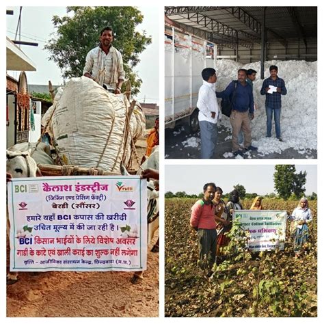 Pramel Kumar Gupta On Linkedin Bci Sustainability Women Cotton