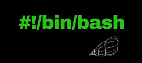 Working With Text In Shell Scripts A Guide For Testers By Elena Voevodkina Jan 2025 Medium