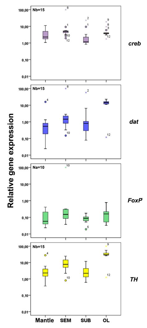 Relative Target Gene Expression In Different Tissues For Each Data Set