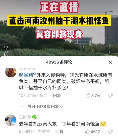 超3000万网友“围观”抓捕鳄雀鳝！盲目放生危害大 绿家园志愿者