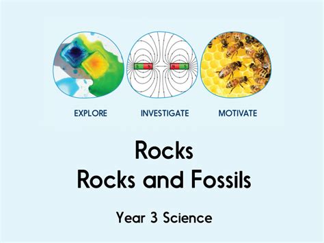 Rocks Rocks And Fossils Year Teaching Resources