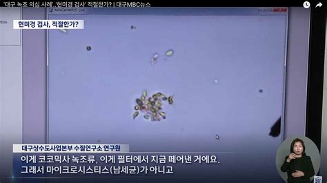 무독성 물질을 남세균으로 둔갑시켰다고 뉴스