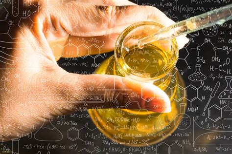 A Beginners Guide To Functional Groups In Organic Chemistry