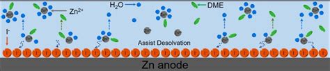 Boosting Zn Anode Utilization By Trace Iodine Ions In Organic‐water