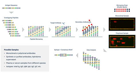 Pepperprint Epitope Mapping With Pepperchip® Peptide Microarrays