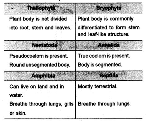Write One Difference For Each Of The Following Pairs I Thallophyta And Bryophyta Ii