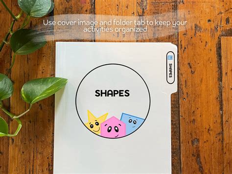 Shapes Matching Folder Activity Etsy