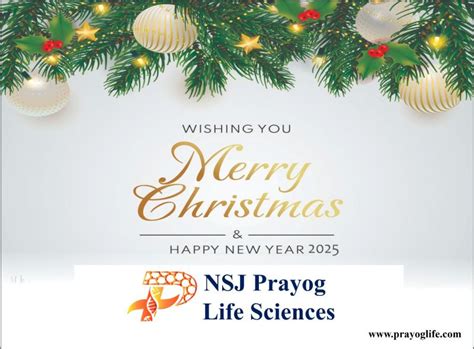 Pavankumar Gangireddy Phd On Linkedin Christmas And New Year Wishes
