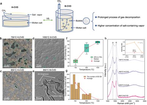 Influence Of The Confined Space Introduced By The Bubble A Schematic Download Scientific