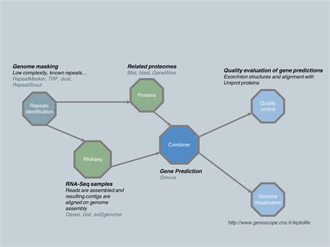 General Description Of The Gene Prediction Workflow Download Scientific Diagram