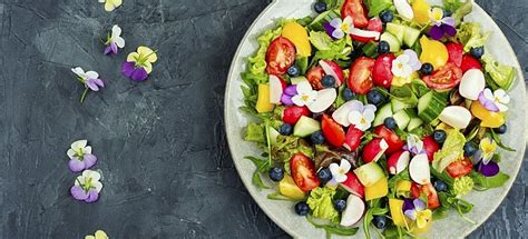 건강에 좋은 음식 샐러드 야채 채식주의 자 사진 배경 및 무료 다운로드를위한 그림 Pngtree