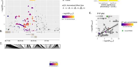 Ldheatmap Not Displayed · Issue 6 · Ritchielab Eqtplot · Github