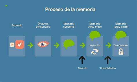 Impacto De La Memoria En La Conversión Digital Woko The Behavioral Lab