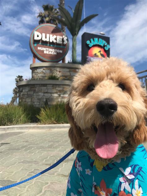 Oh How Theyve Grown Sunshine Doodles