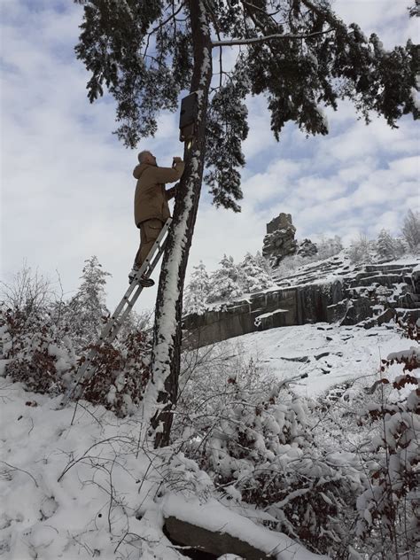 Den Bilchen Auf Der Schliche Naturpark Now