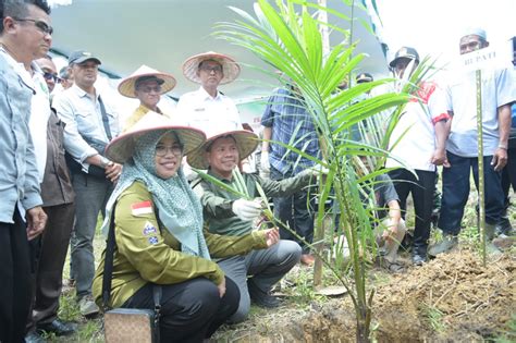 Bupati Sambas H Satono Nilai Kecamatan Subah Punya Potensi ‘menjanjikan Sektor Perkebunan