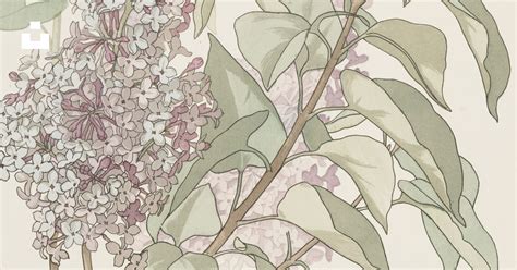 나뭇잎과 꽃이 있는 식물 그림 사진 Unsplash의 무료 꽃 이미지