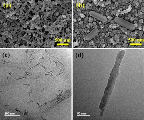 FESEM Micrographs Of A PANI RGO 0 And B PANI RGO 1 HRTEM Images Download Scientific