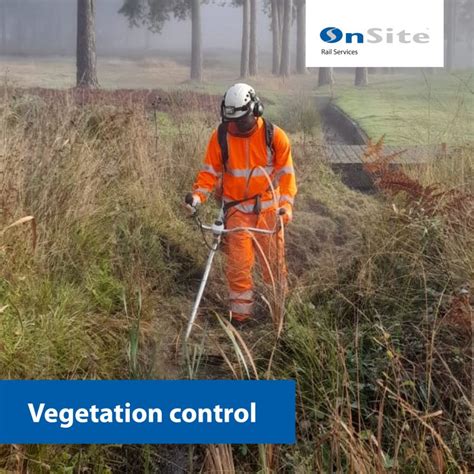 Jamie Lucas Posted On Linkedin