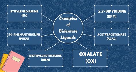 10 Examples Of Bidentate Ligands Vivid Examples