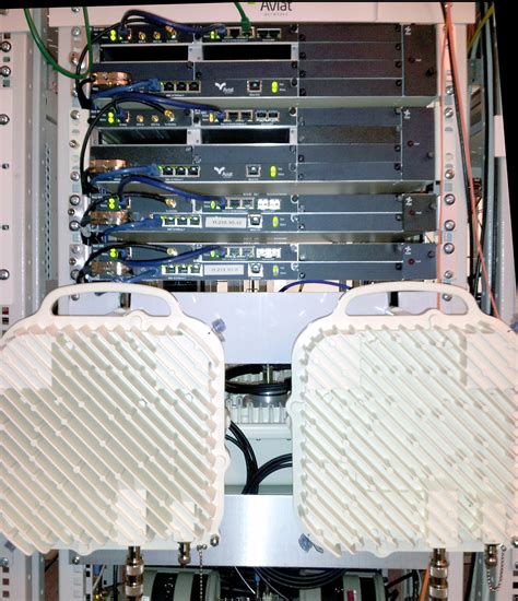 Mpls Tp Aviat Networks