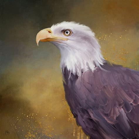Bird Art Print Bald Eagle Wall Art Unique Eco Friendly Wildlife