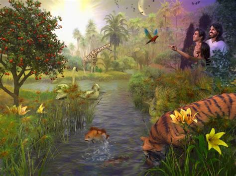 What Are The 7 Days Of Creation