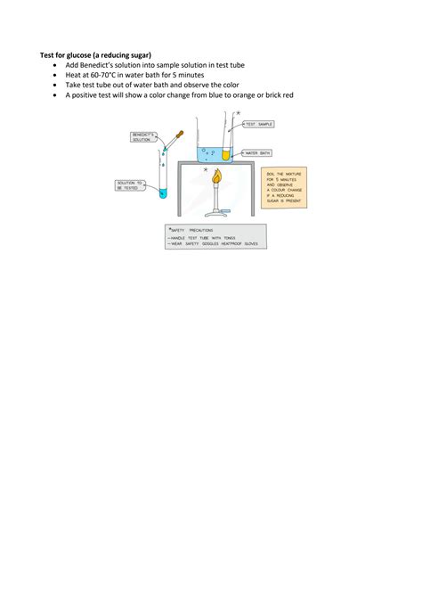 Biology Notes For Igcse 2014 2024 Carbohydrates Fats And 46 Off