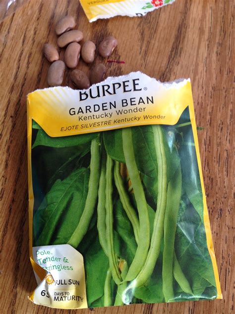 Tales From A K 1 Classroom Beans And More… A Review Of The Past Couple Weeks