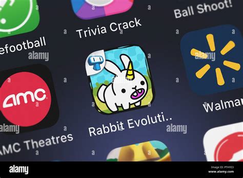 Rabbit Evolution