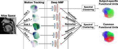 Figure 1 From A Deep Joint Sparse Non Negative Matrix Factorization Framework For Identifying