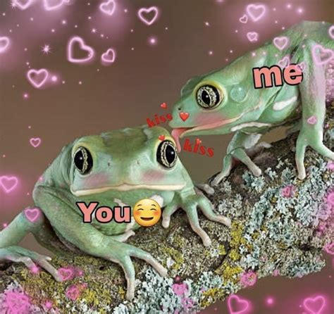 Froggo Memes On Twitter 3upss2gput Twitter
