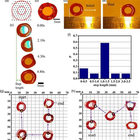 Locomotion With Arbitrary Directions Of An Annular Lce Robot A