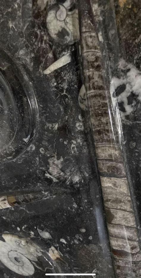 Fossil Id And Authentication Rfossilid