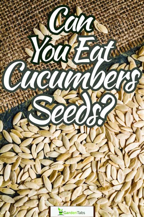 Can You Eat Cucumber Seeds A Quick Guide For Healthy Snacking