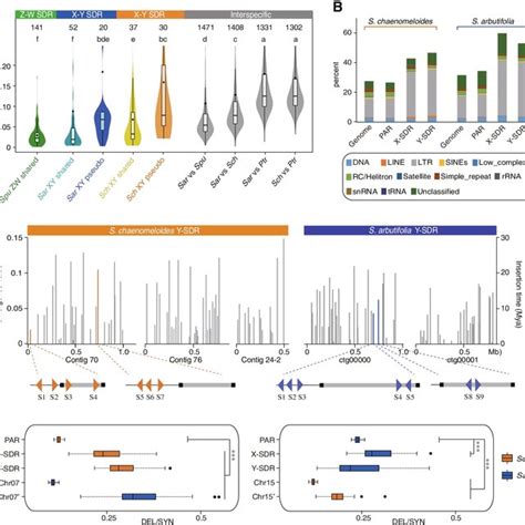 Degeneration Of The Y Sdrs A Comparison Of The Synonymous Substitution