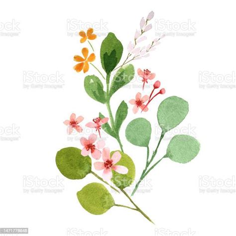 수채화 꽃 그림입니다 봄 꽃과 나뭇잎으로 활기찬 꽃다발 결혼식에 대한 스톡 벡터 아트 및 기타 이미지 결혼식 꽃 나무 꽃 식물 Istock