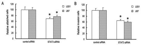 Cell Adhesion Assay A And Cell Invasion Assays B Were Adopted At Download Scientific
