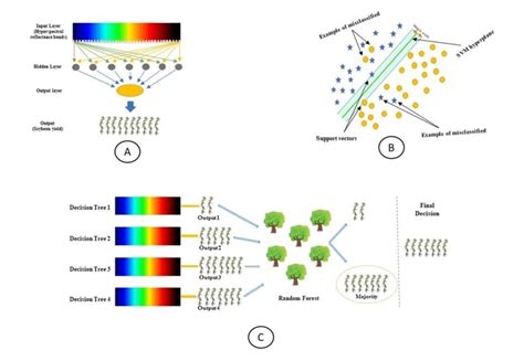 2 A Schematic Representation Of The Machine Learning Algorithms Used In