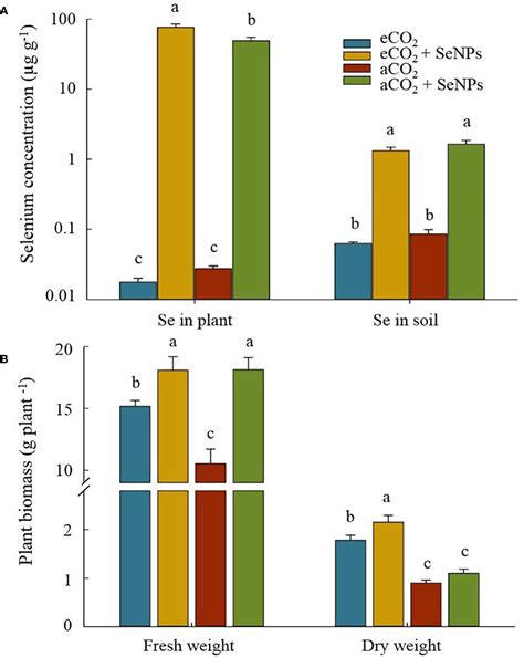 Frontiers Physiological And Biochemical Responses Of Wheat To Synergistic Effects Of Selenium