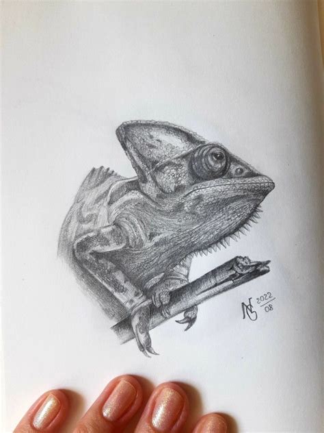 A Drawing Of A Chamelon Sitting On Top Of A Piece Of Paper