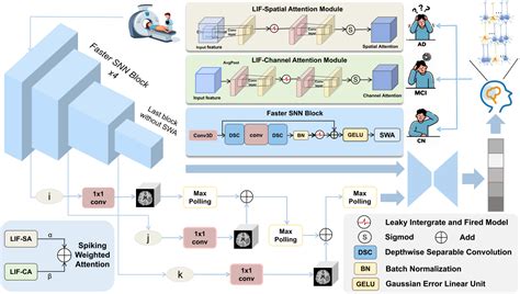논문 리뷰 Towards Practical Alzheimers Disease Diagnosis A Lightweight And Interpretable Spiking