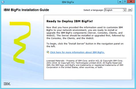 Installation Guide Won T Start BigFix Forum