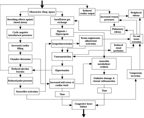 Osa Pathophysiology